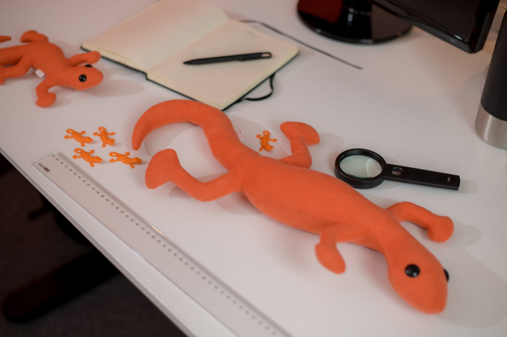 Get to know our team of experts